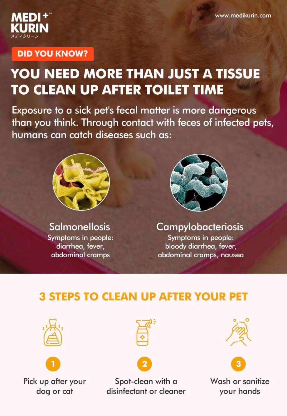 5 Things Owners Need to Know about Pet Hygiene | MEDI+KURIN