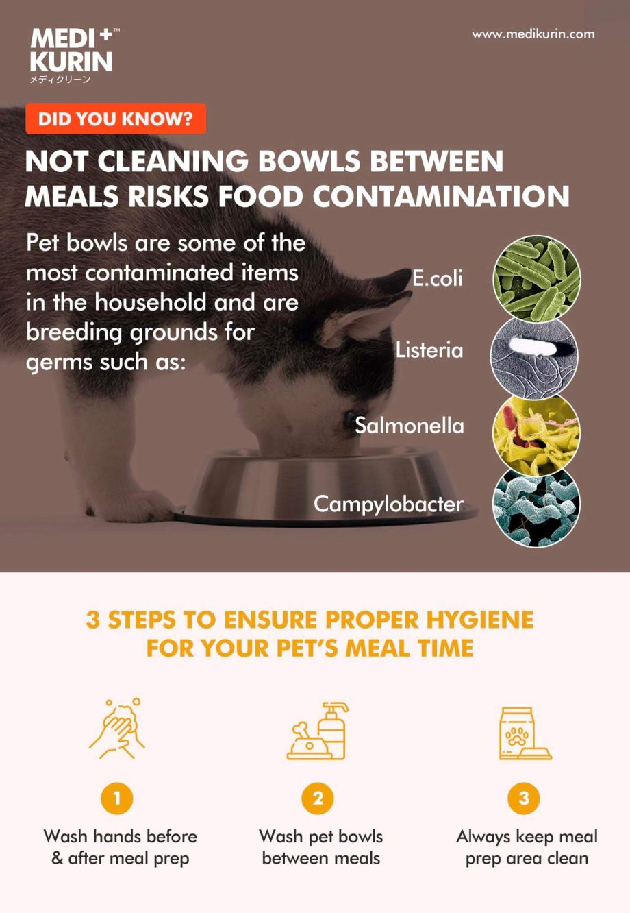 5 Things Owners Need to Know about Pet Hygiene | MEDI+KURIN